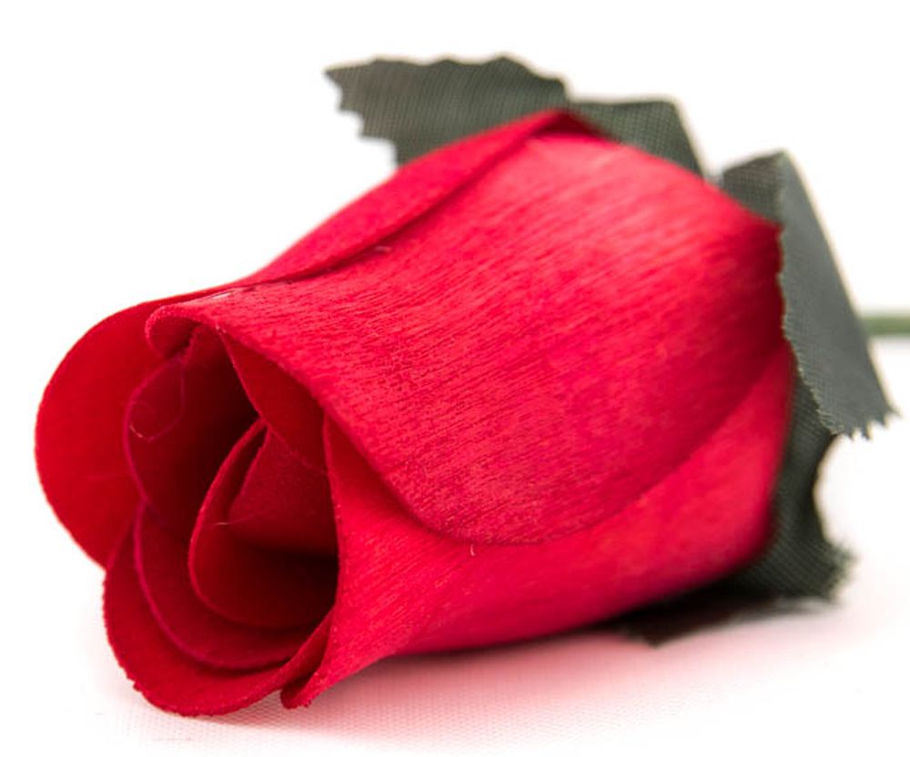 Original Red Rose Picture